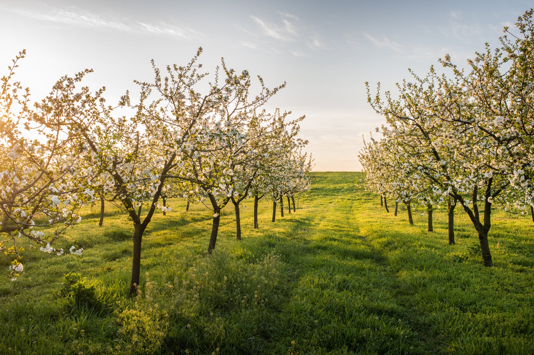 Inland Hardware Inc: Wholesale Supplier, Turlock, CA